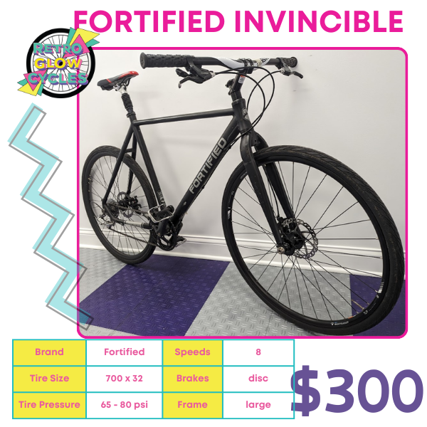 Fortified Invincible Commuter Bike – Retro Glow Cycles